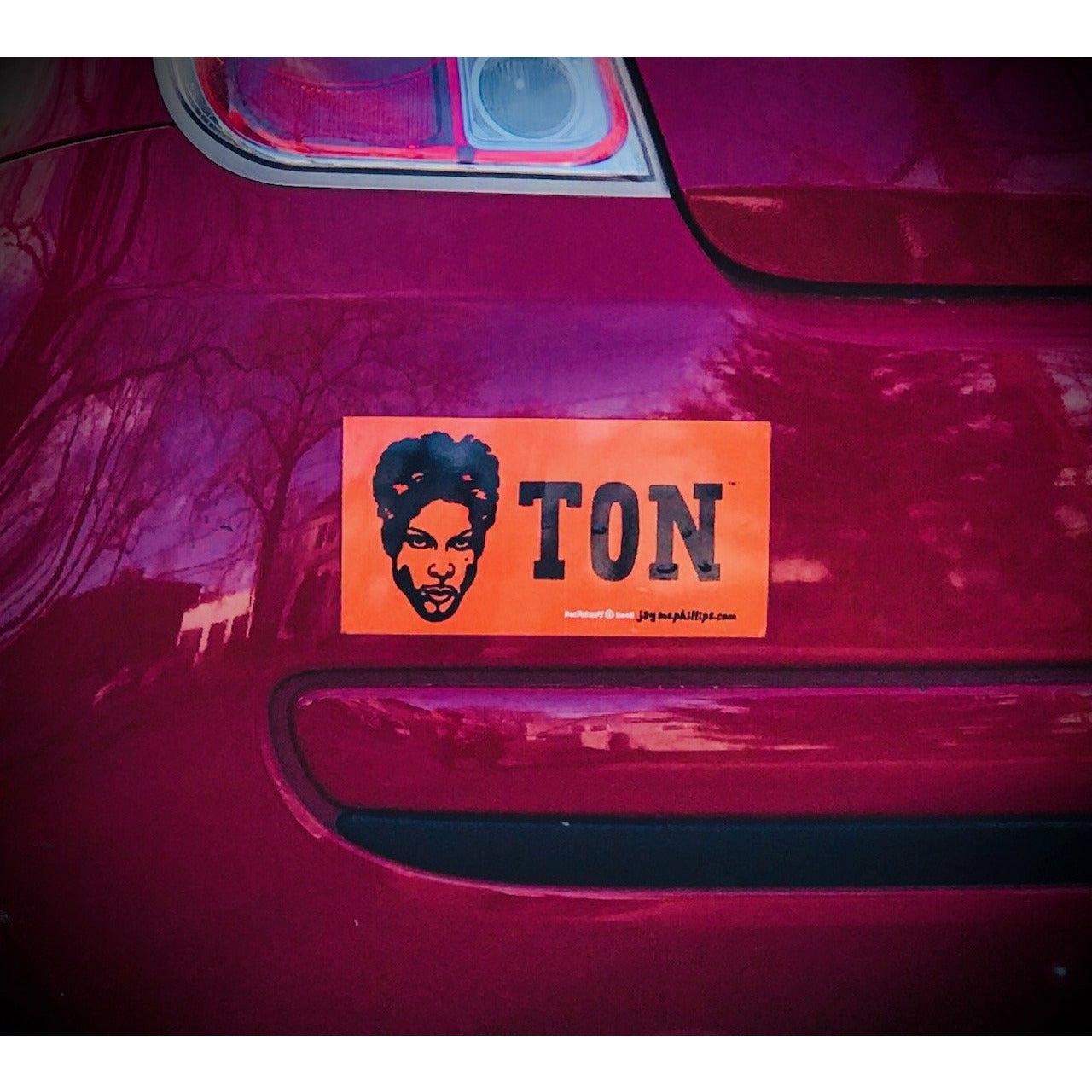 Prince-TON Sticker – Homestead Princeton